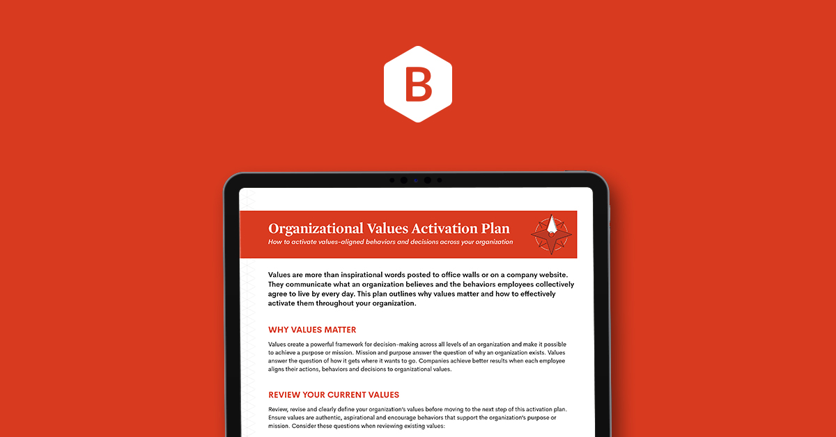 Organizational Values Activation Plan